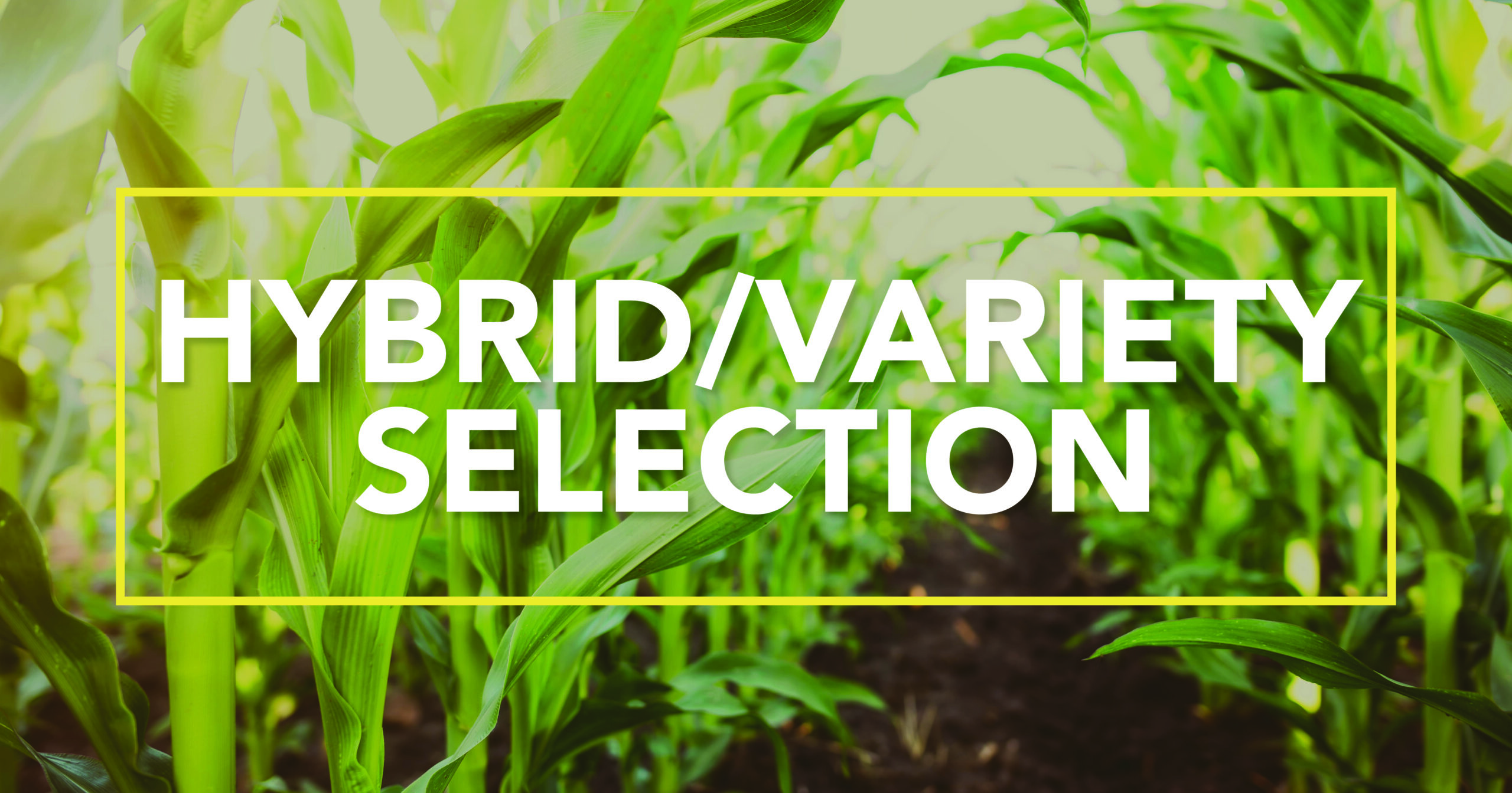 Seed Selection, Placement, and New Technologies for 2022 Series - Part ...