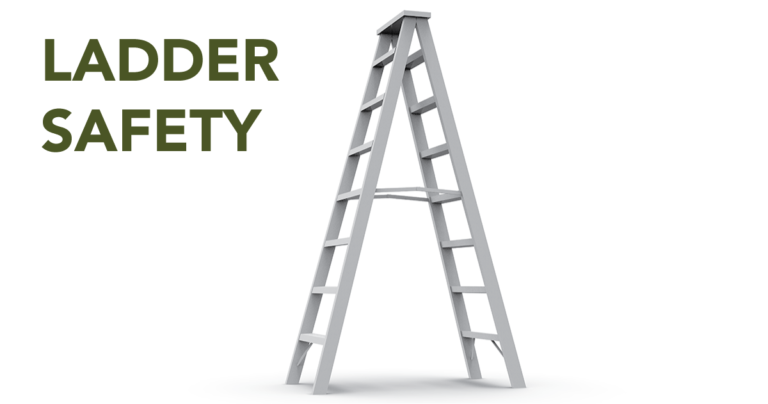 March is National Ladder Safety Month - ALCIVIA