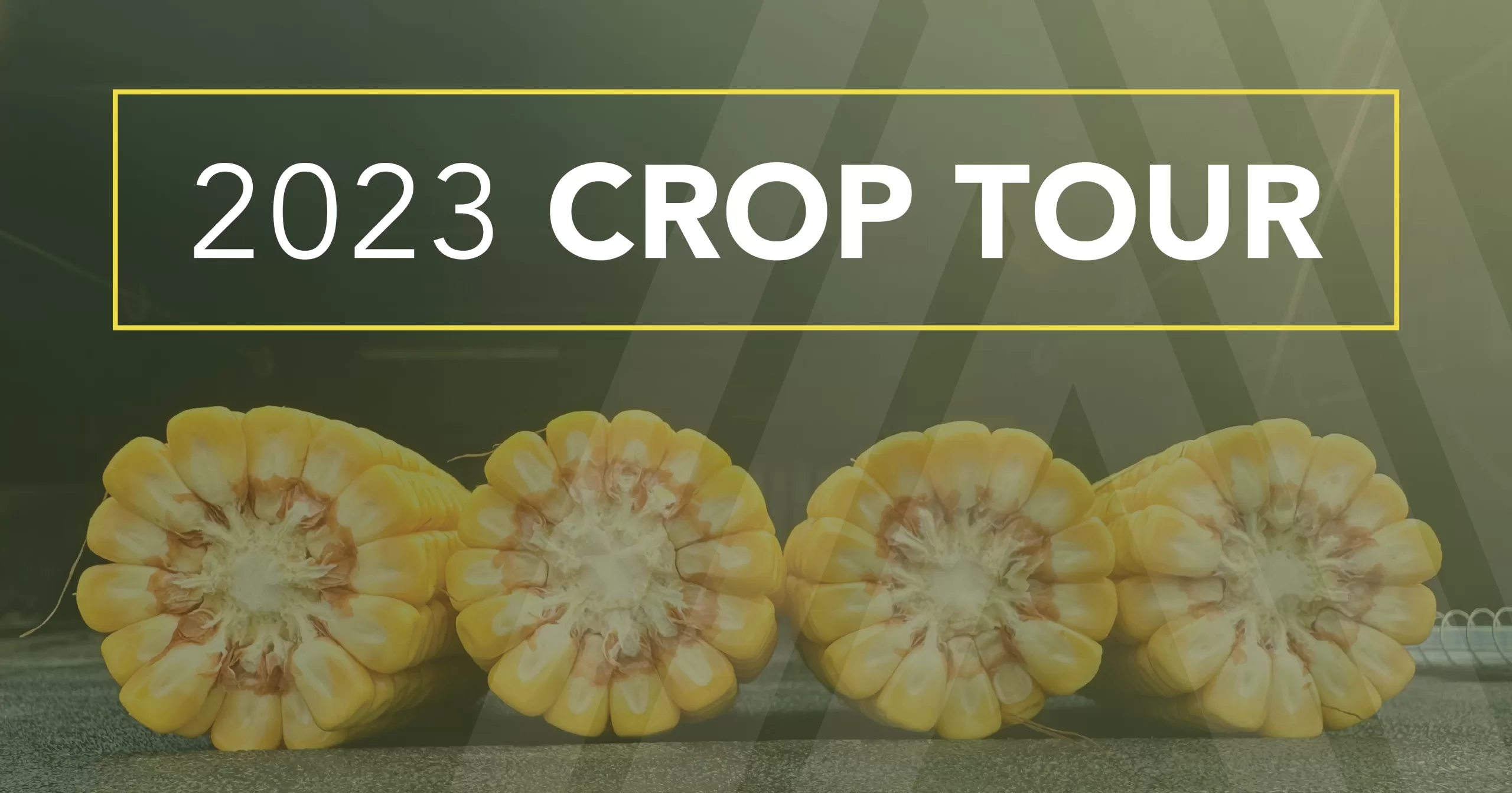 2023 Crop Tour: Part Two - ALCIVIA